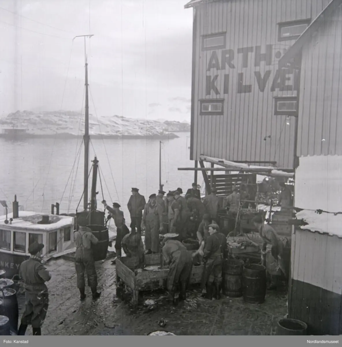 Fiskemottak; sløying av fisk - Nordlandsmuseet / DigitaltMuseum